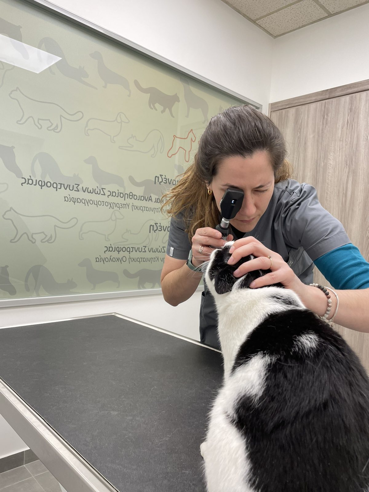 Ποιοί Είμαστε -yourpetdoctors Κτηνίατροι: Γεωργία και Δήμητρα Καρνέζη