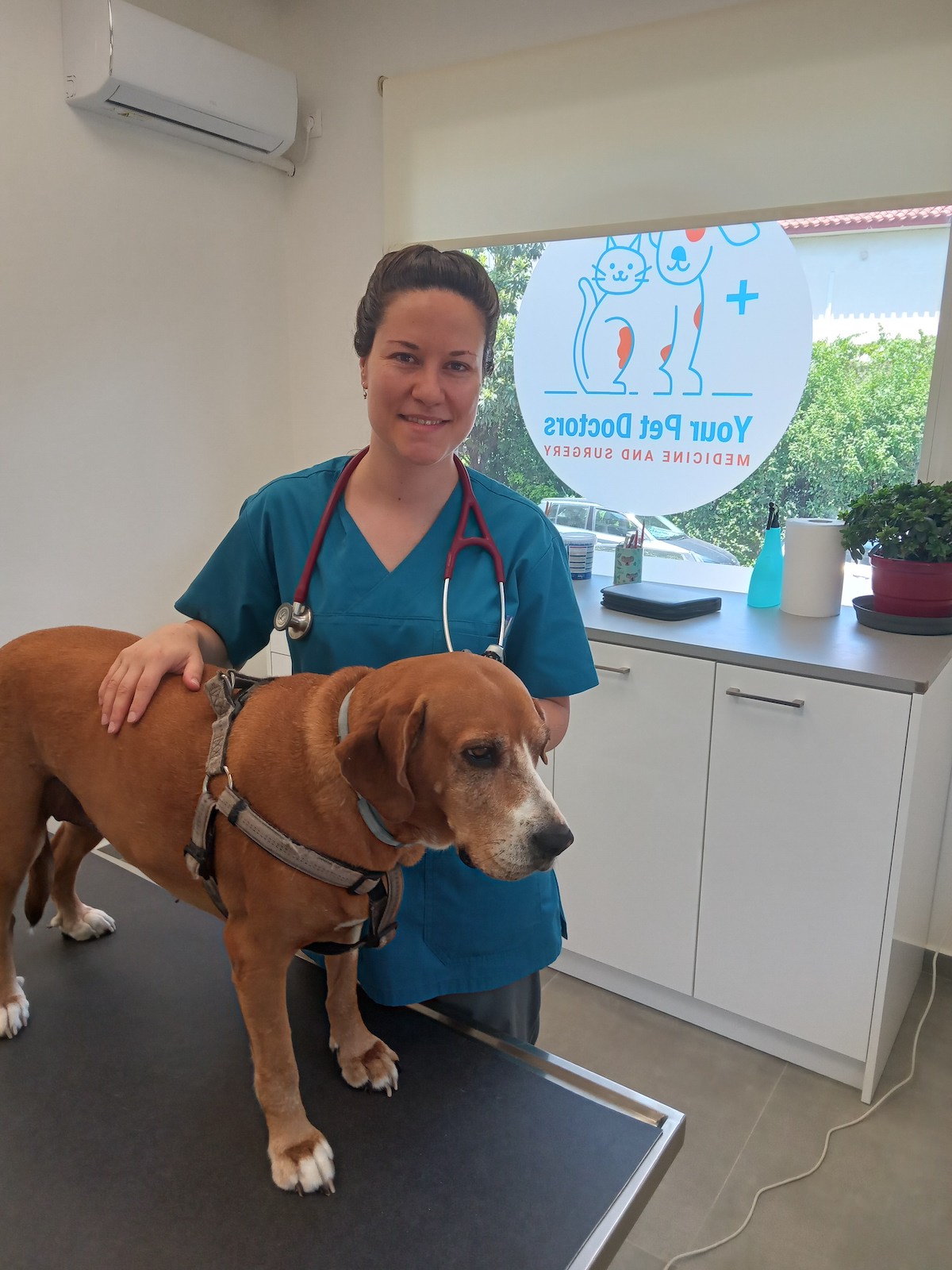 Ποιοί Είμαστε -yourpetdoctors Κτηνίατροι: Γεωργία και Δήμητρα Καρνέζη